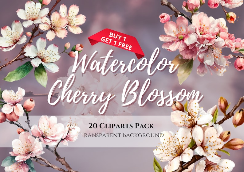 Cherry Blossom Watercolor - 20 Clipart Transparent Background PNG - Etsy