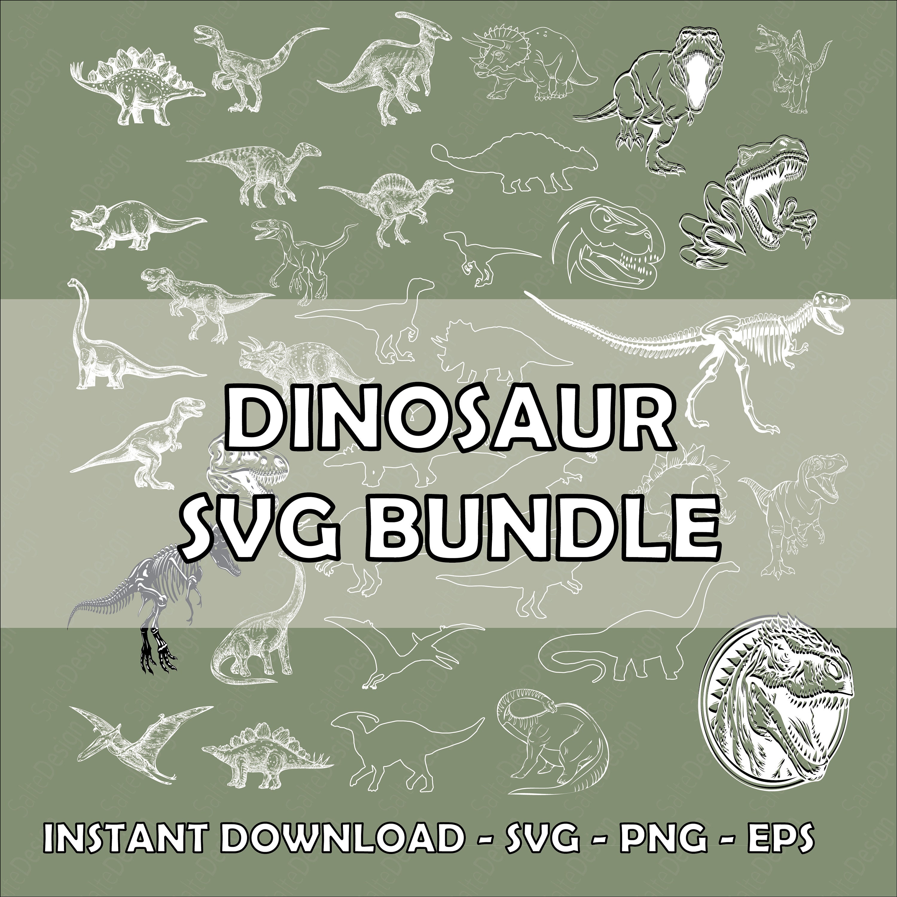 Dinosaur SVG Bundle, Dinosaur Silhouette, Dinosaur Cut Files, Dinosaur ...