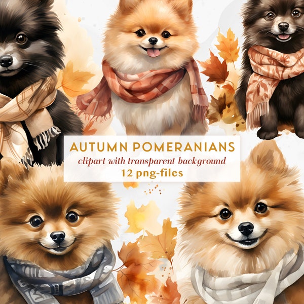 Autumn Owl Clipart Cute Owl With Scarf Clipart Autumn Animals Woodland ...