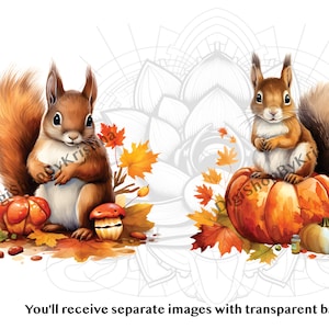 Cute Little Squirrels Clipart Set | Watercolor Squirrel Pngs | Autumn ...