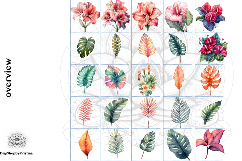 Tropical Flowers Clipart Set Vibrant Flowers and Flowerframes Leafs and ...