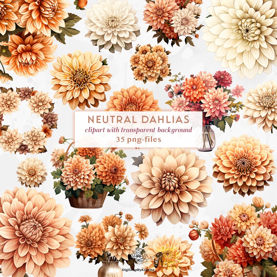 Watercolor Dahlia Flowers Clipart Set |neutral Dahlia Flowers | Dahlia ...
