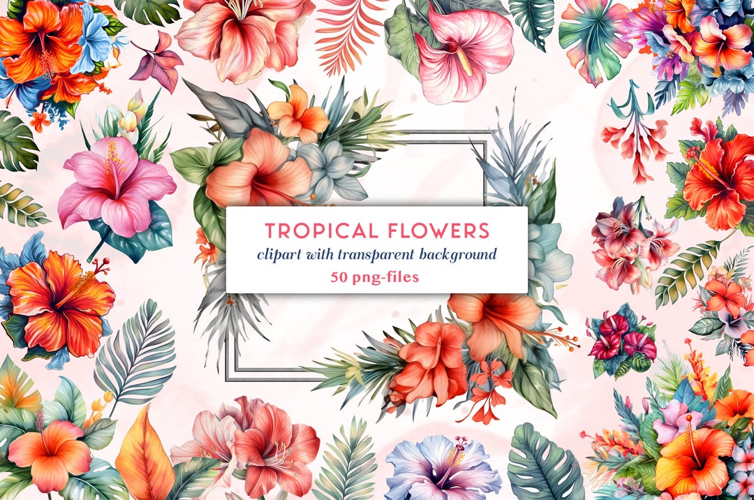 Tropical Flowers Clipart Set | Vibrant Flowers and Flowerframes | Leafs ...