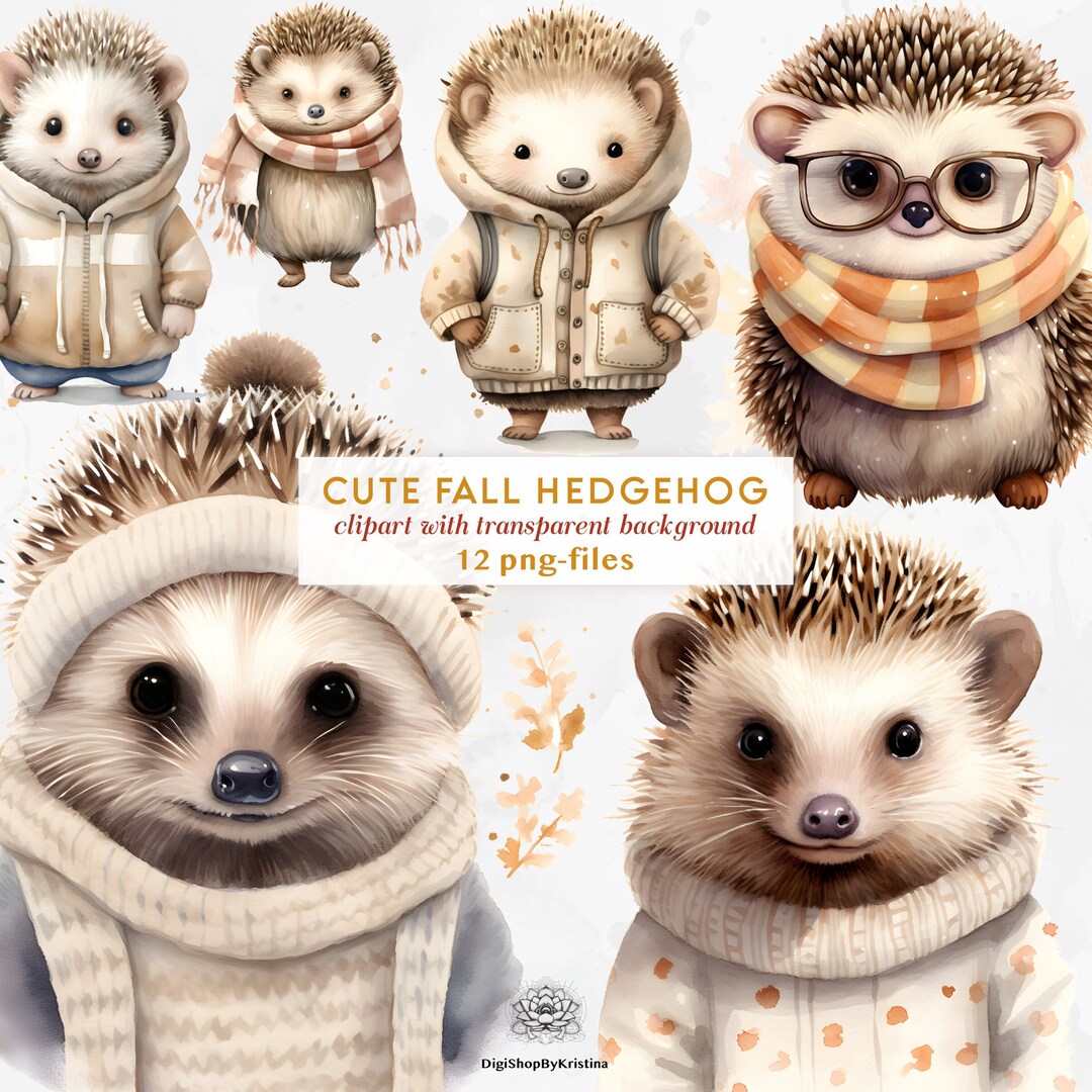 Cute Little Autumn Hedgehog Clipart Set | Watercolor Hedgehog Pngs ...