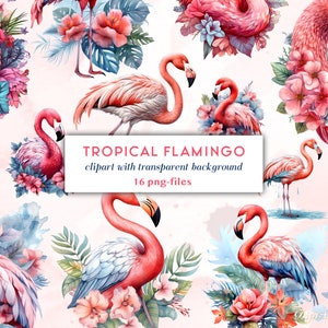 Tropical Flamingos Clipart Watercolor Flamingo PNG File Flamingos With ...