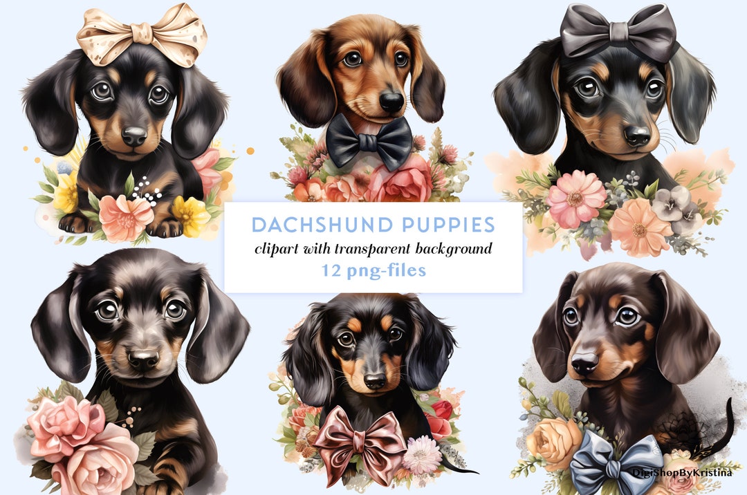 Dachshund Puppy Clipart Pngs | Dog Portrait Illustration | Watercolor ...