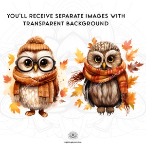 Autumn Owl Clipart | Cute Owl With Scarf Clipart | Autumn Animals ...