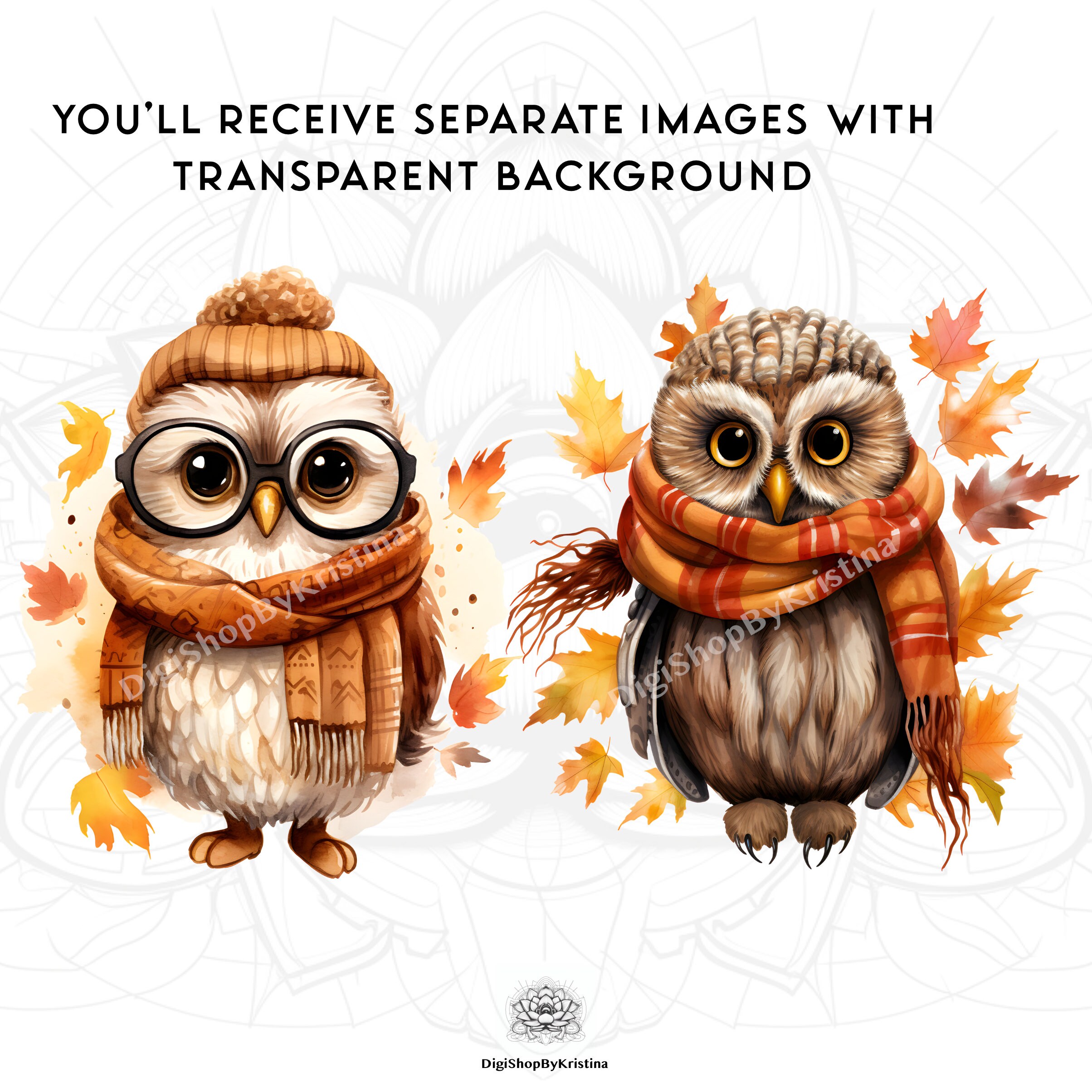 Autumn Owl Clipart Cute Owl With Scarf Clipart Autumn - Etsy