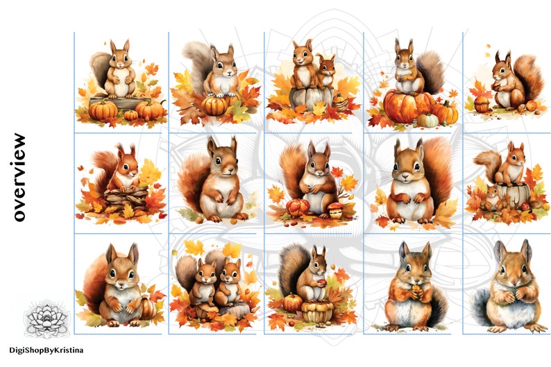Cute Little Squirrels Clipart Set Watercolor Squirrel Pngs - Etsy