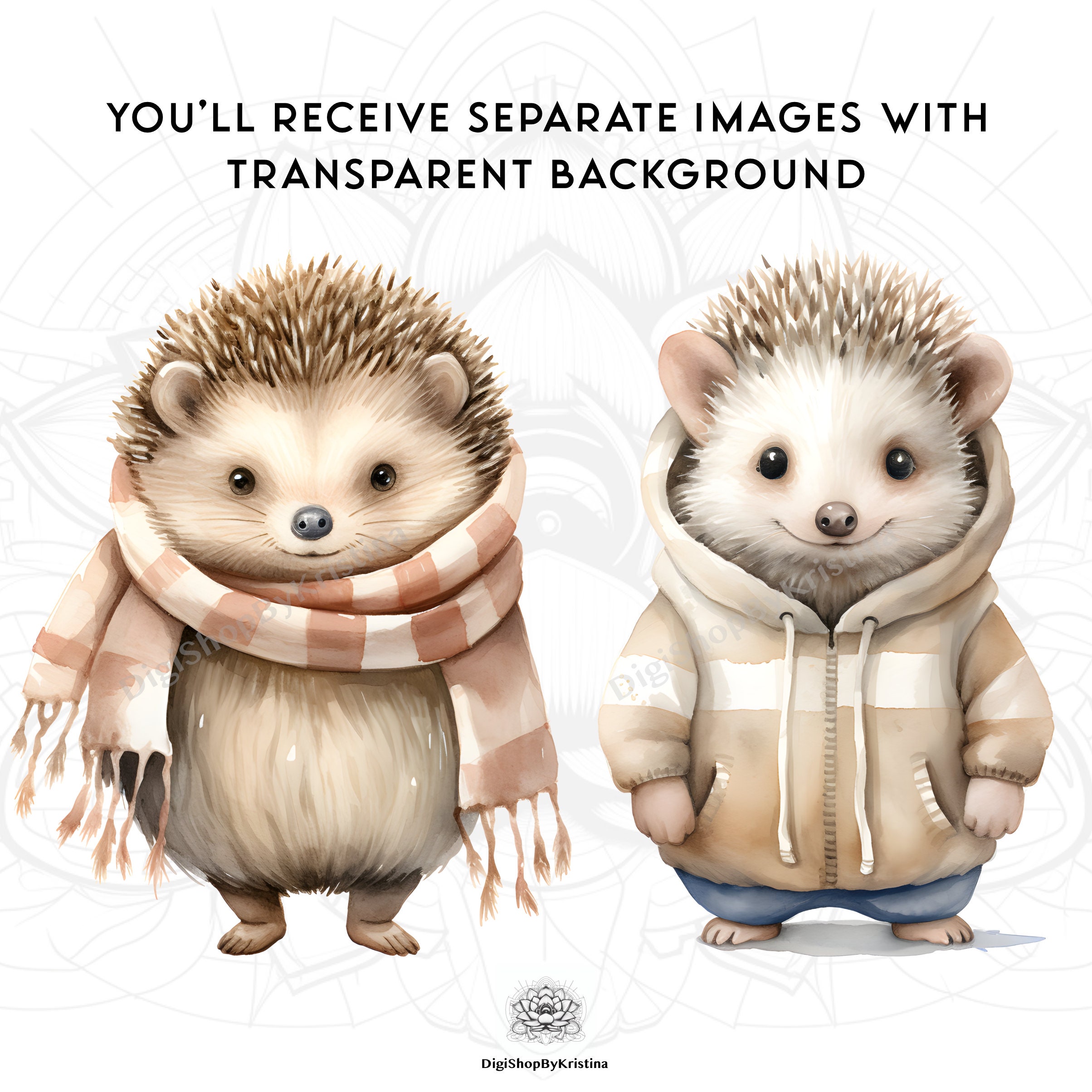 Cute Little Autumn Hedgehog Clipart Set Watercolor Hedgehog - Etsy