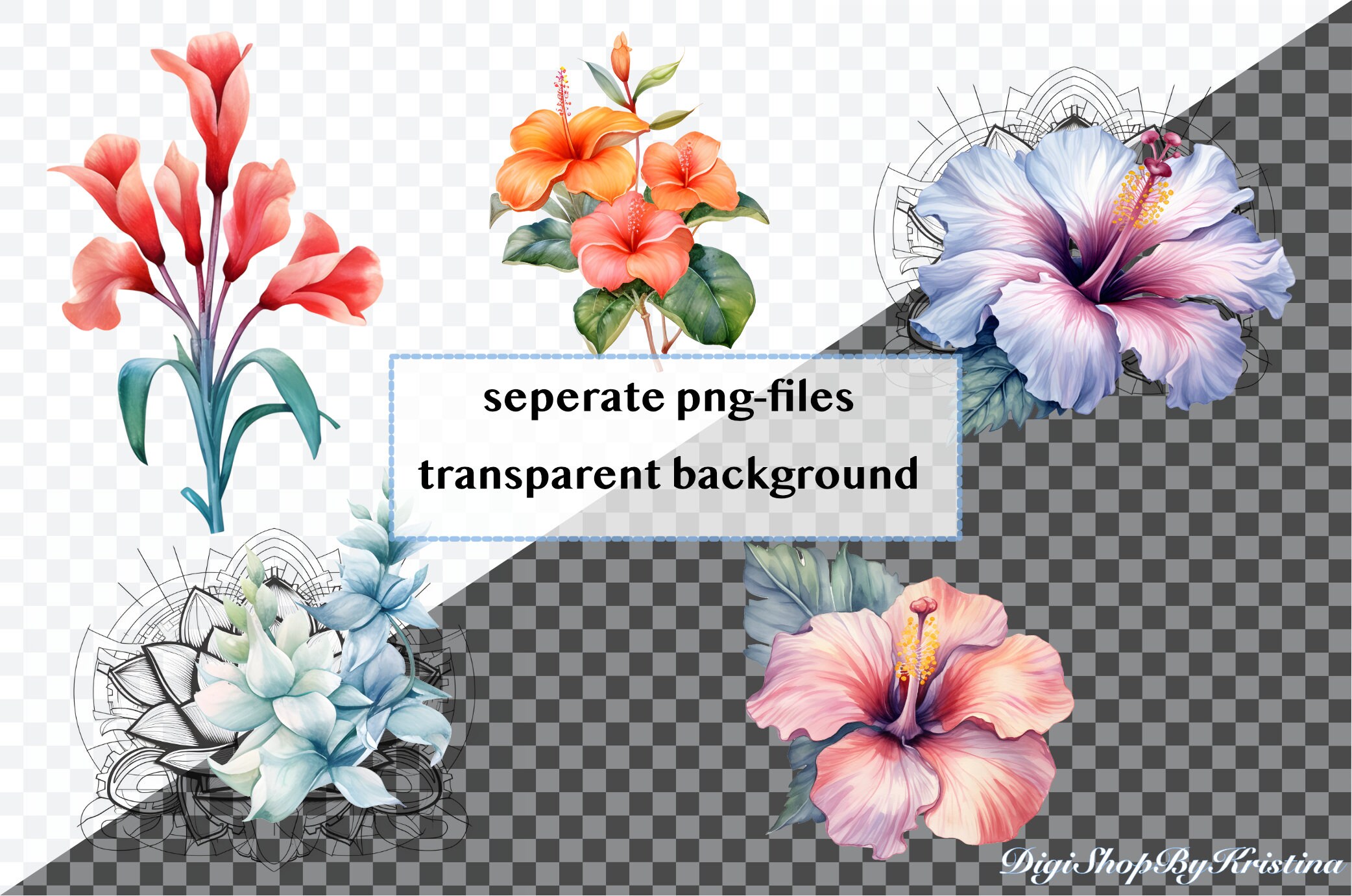 Tropical Flowers Clipart Set Vibrant Flowers and Flowerframes Leafs and ...