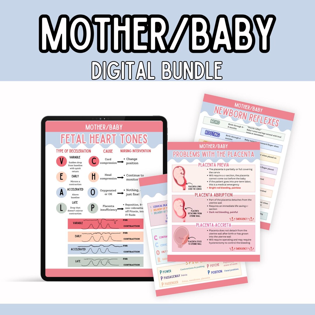 Mother Baby Nursing Notes/maternal Newborn Nursing School Bundle ...