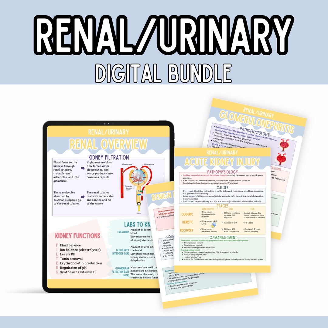 Renal Disorders/urinary Disorders/renal Nursing Notes/urinary Nursing ...