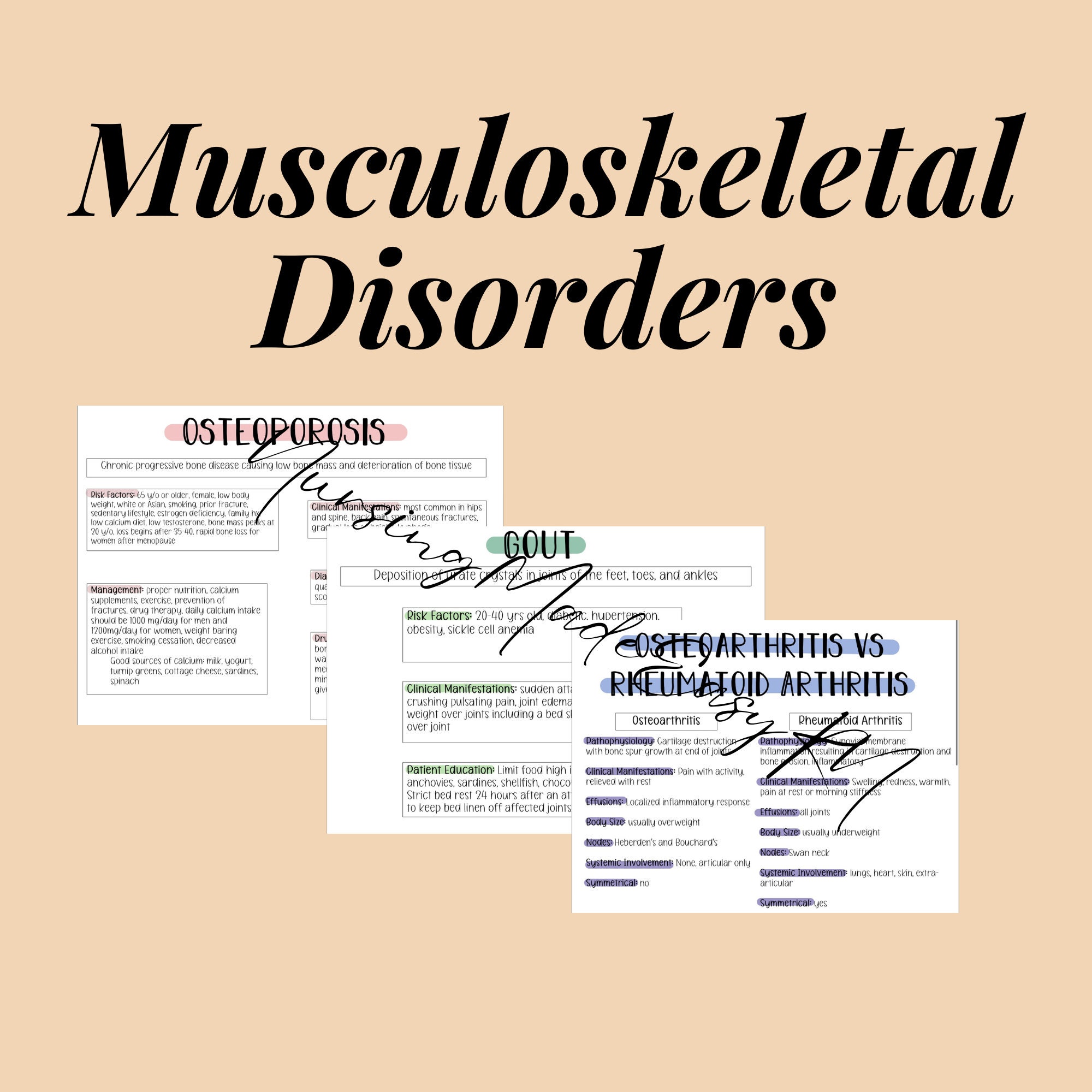 Musculoskeletal Disorder/nursing Notes/nclex Review - Etsy