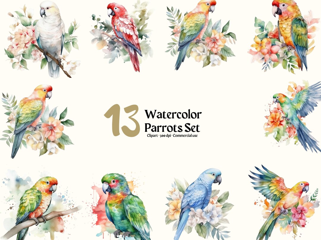 Watercolor Parrot Clipart, Tropical Birds With Flowers and Leaves in ...