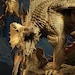 DNDUK - Shimmergloom - Grommonir - Shadow Dragon Miniature - Etsy
