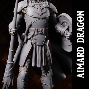 DNDDGL - Huma Dragonbane - Aimard Dragon - Male Fighter Dragonlance ...