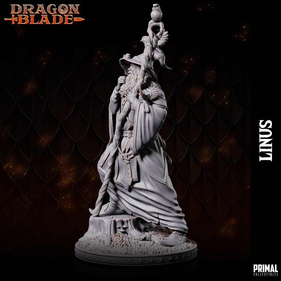 DNDDGL Linus Fizban the Fabulous Old Human Wizard - Etsy