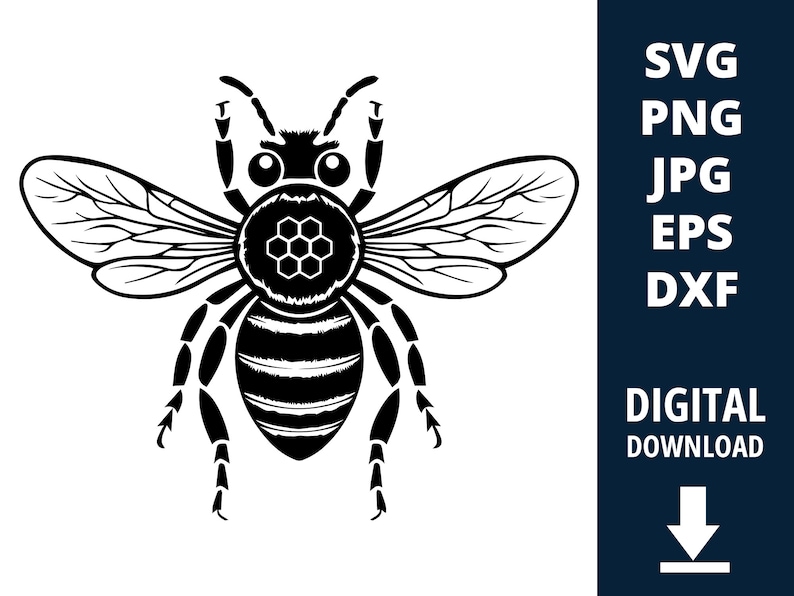 Bumblebee Svg Instant Download Honey Bee Cut Engrave File PNG JPG EPS ...