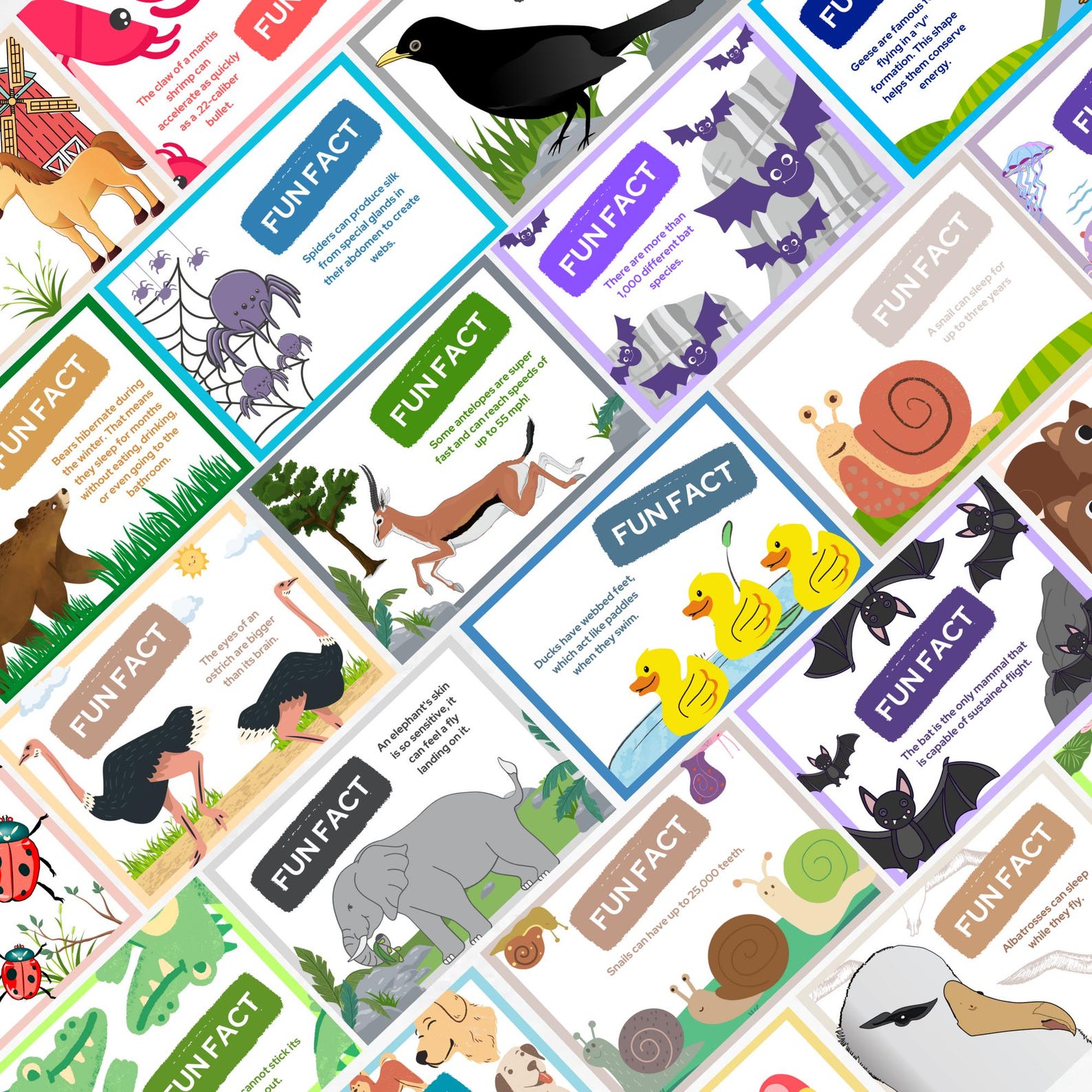 Printable Animal Themed Lunch Box Facts for Kids Fun Facts Trivia Lunch ...