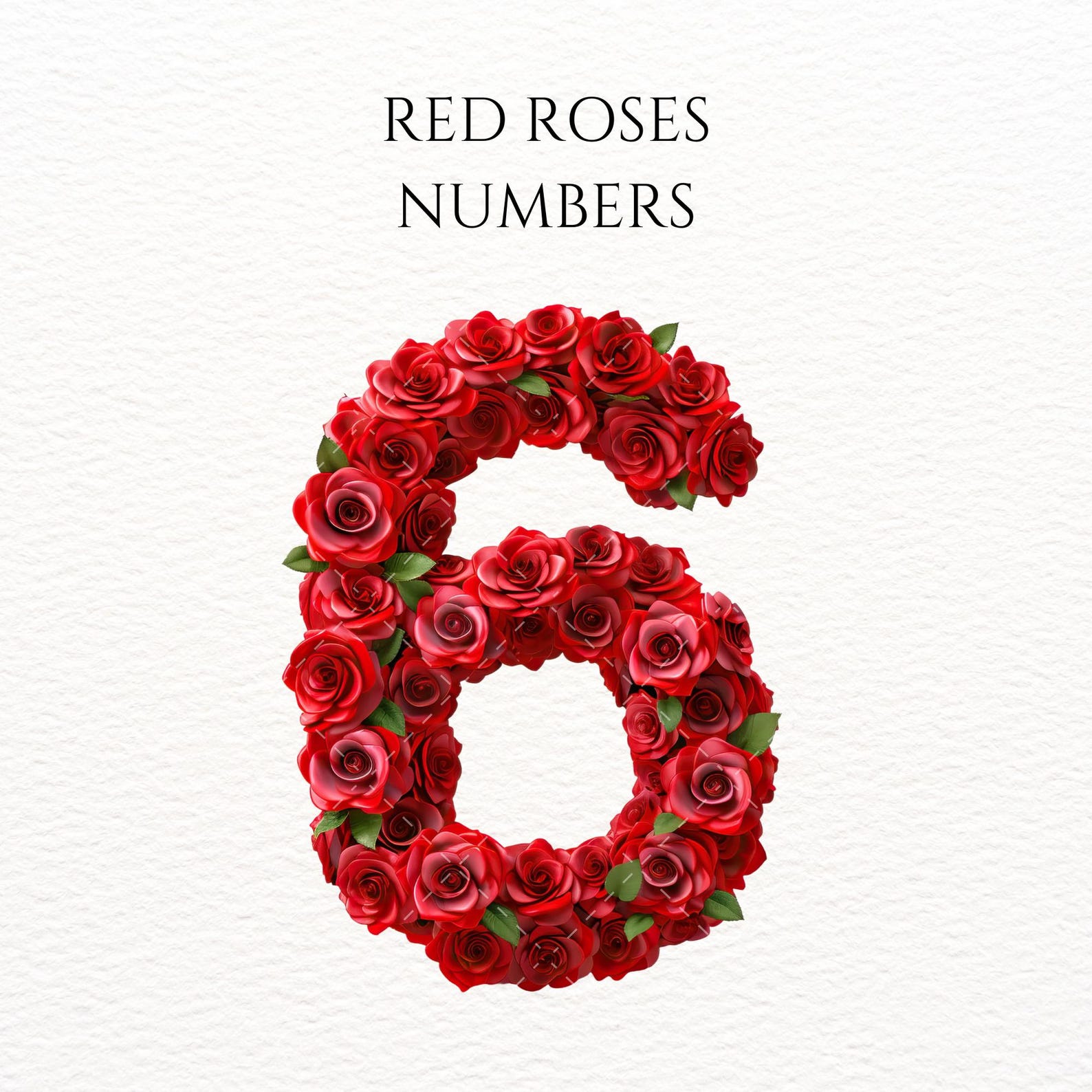 Red Roses Numbers Clipart Floral Numbers Clipart Rose Number Graphics ...