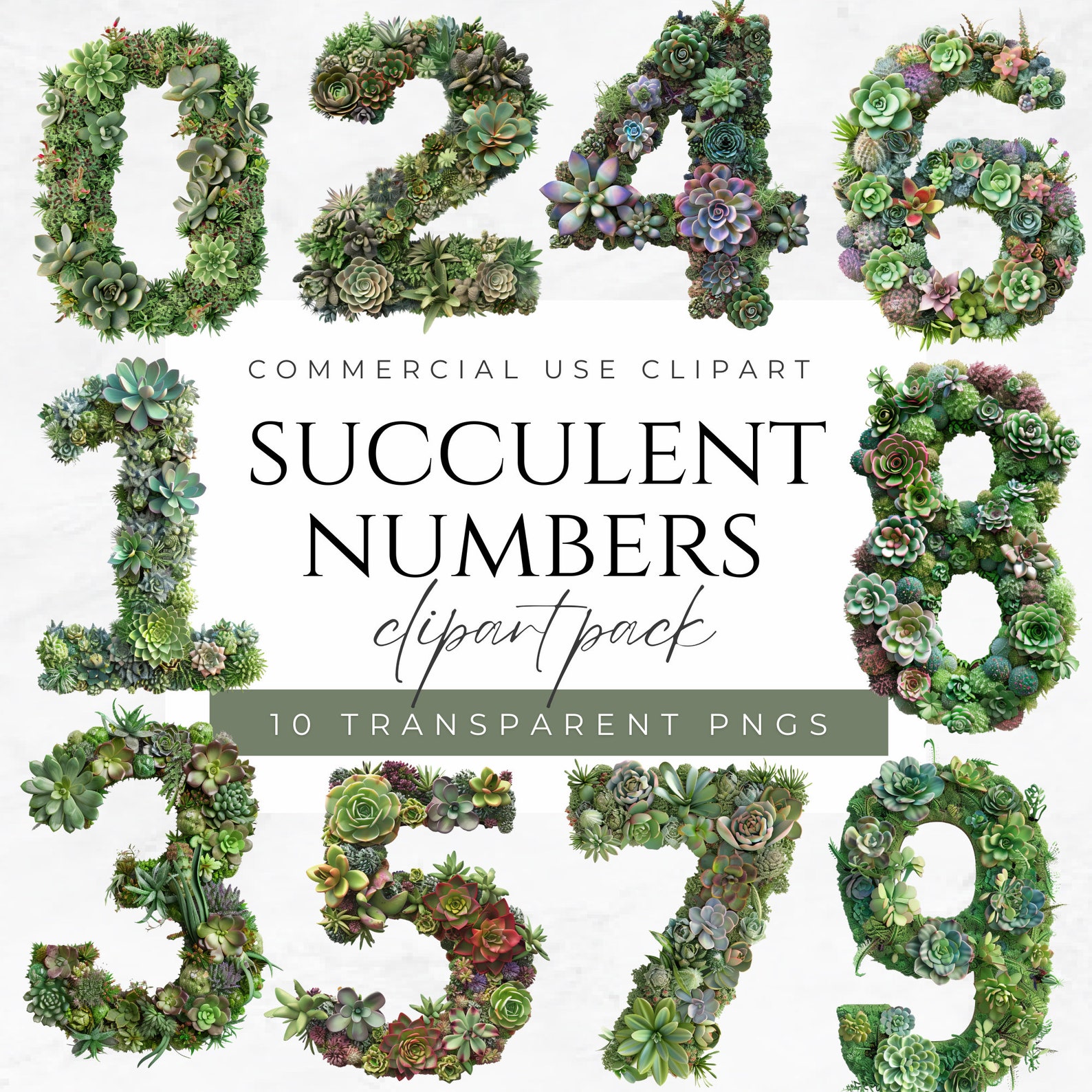 Succulent Plant Numbers Clipart Succulent Clipart Plant Numbers Floral ...