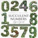 Succulent Plant Numbers Clipart Succulent Clipart Plant Numbers Floral ...
