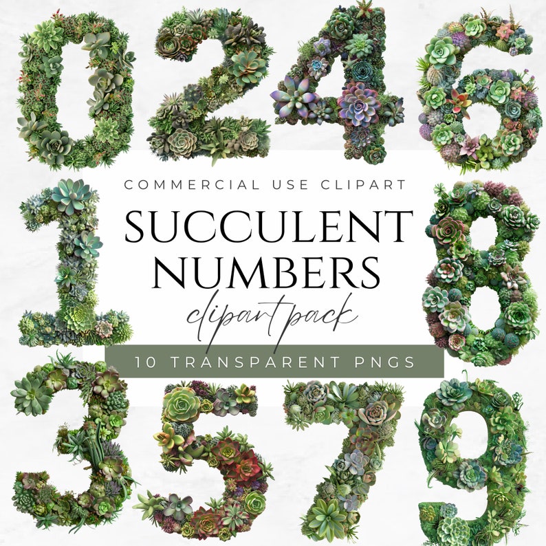Succulent Plant Numbers Clipart Succulent Clipart Plant Numbers Floral ...