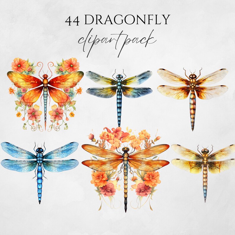 Dragonflies Clipart Dragonflies PNG Dragonfly Clipart Dragonfly Clip ...