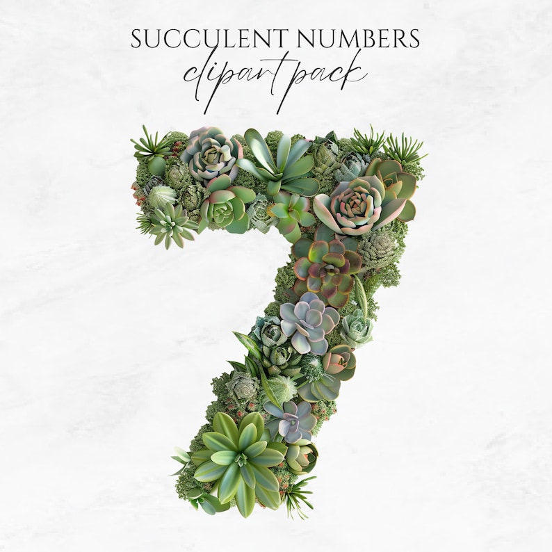 Succulent Plant Numbers Clipart Succulent Clipart Plant Numbers Floral ...