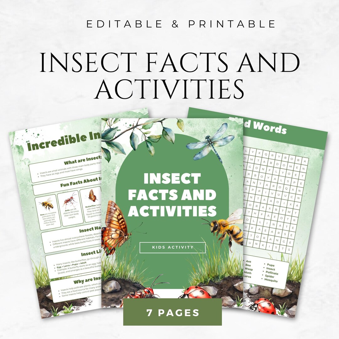 Insect Facts and Activities for Kids Insect Facts Insect Science ...