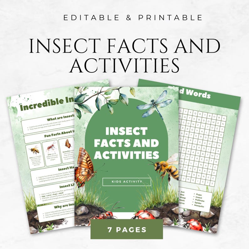 Insect Facts and Activities for Kids Insect Facts Insect Science ...