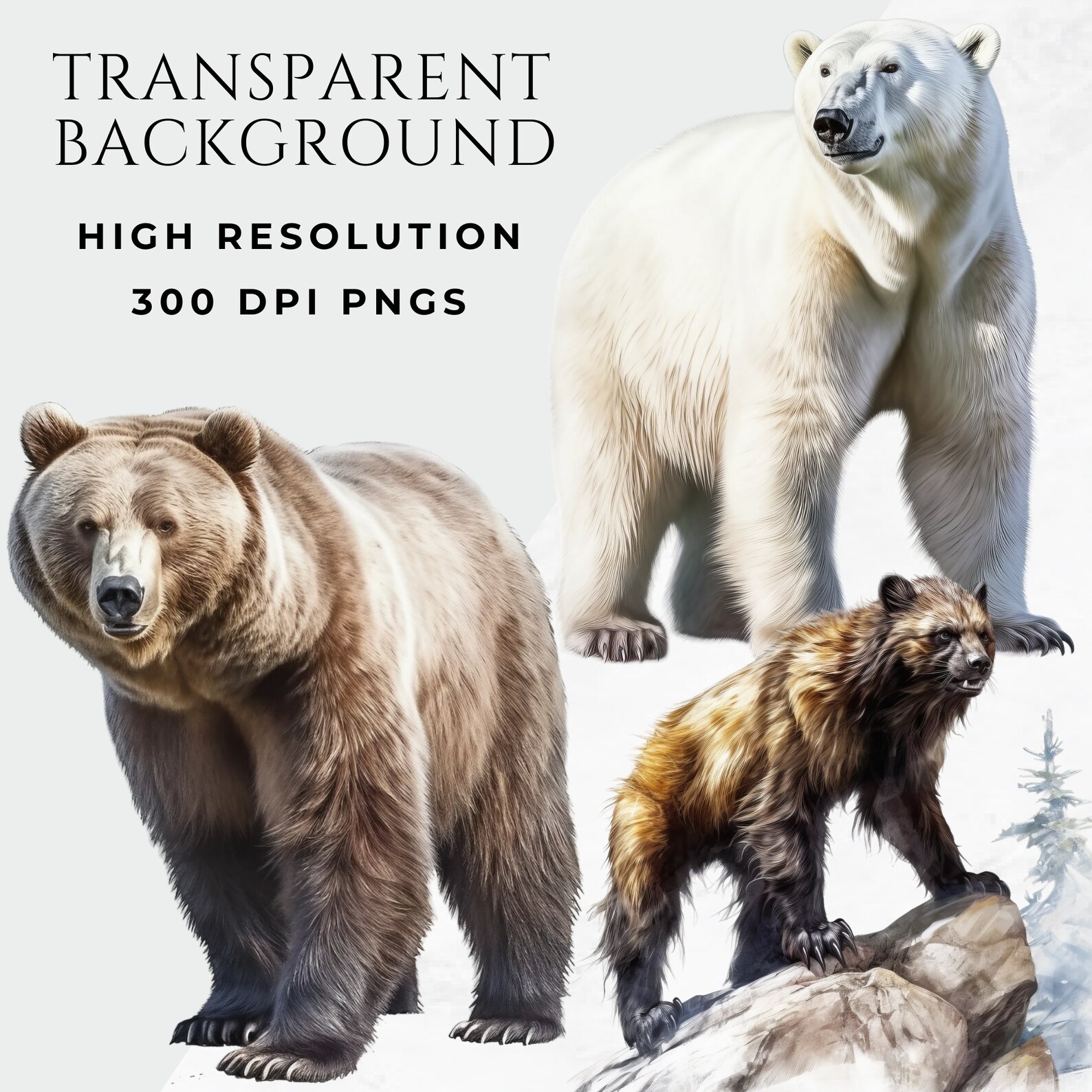 Arctic Animals Clipart Watercolor Polar Animals Clipart Winter Animals ...