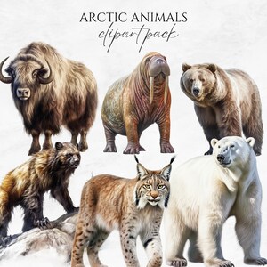 Arctic Animals Clipart Watercolor Polar Animals Clipart Winter Animals ...