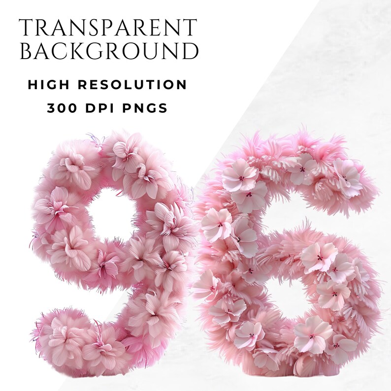 Pink Feathers Numbers Clipart Flower Numbers Clipart Feathers and ...