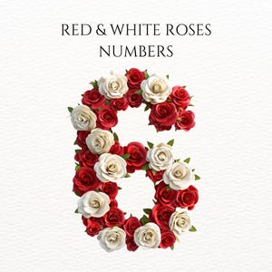 Rose Numbers Clipart Red Rose Clipart White Rose Clipart Floral Numbers ...