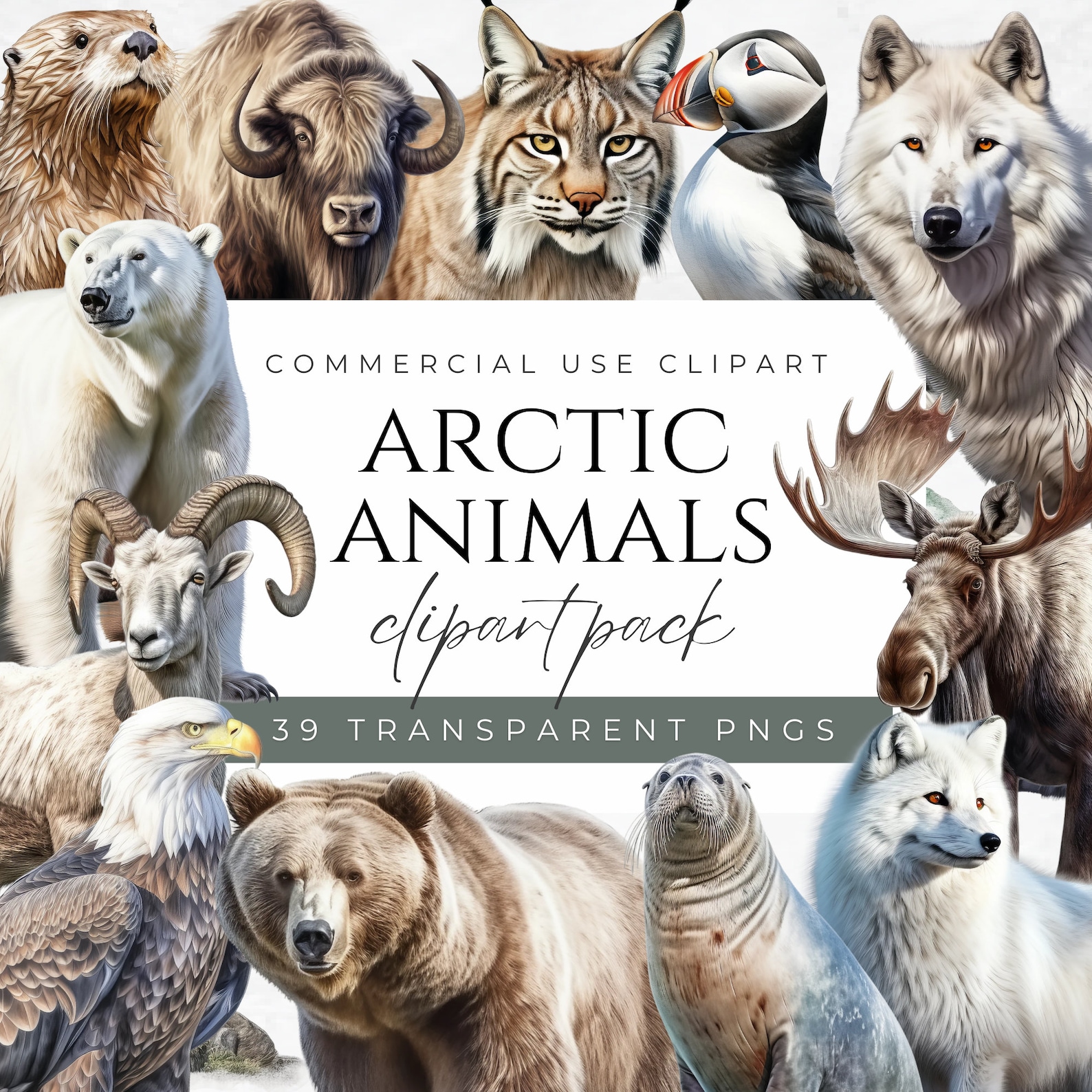 Arctic Animals Clipart Watercolor Polar Animals Clipart Winter Animals ...