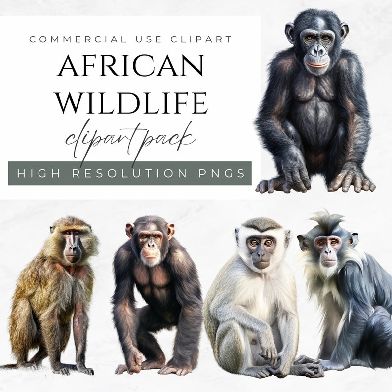 African Animals Clipart Safari Animals Clipart African Savanna Animals ...