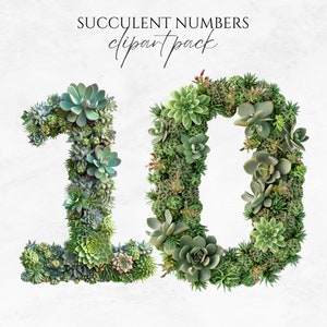 Succulent Plant Numbers Clipart Succulent Clipart Plant Numbers Floral ...