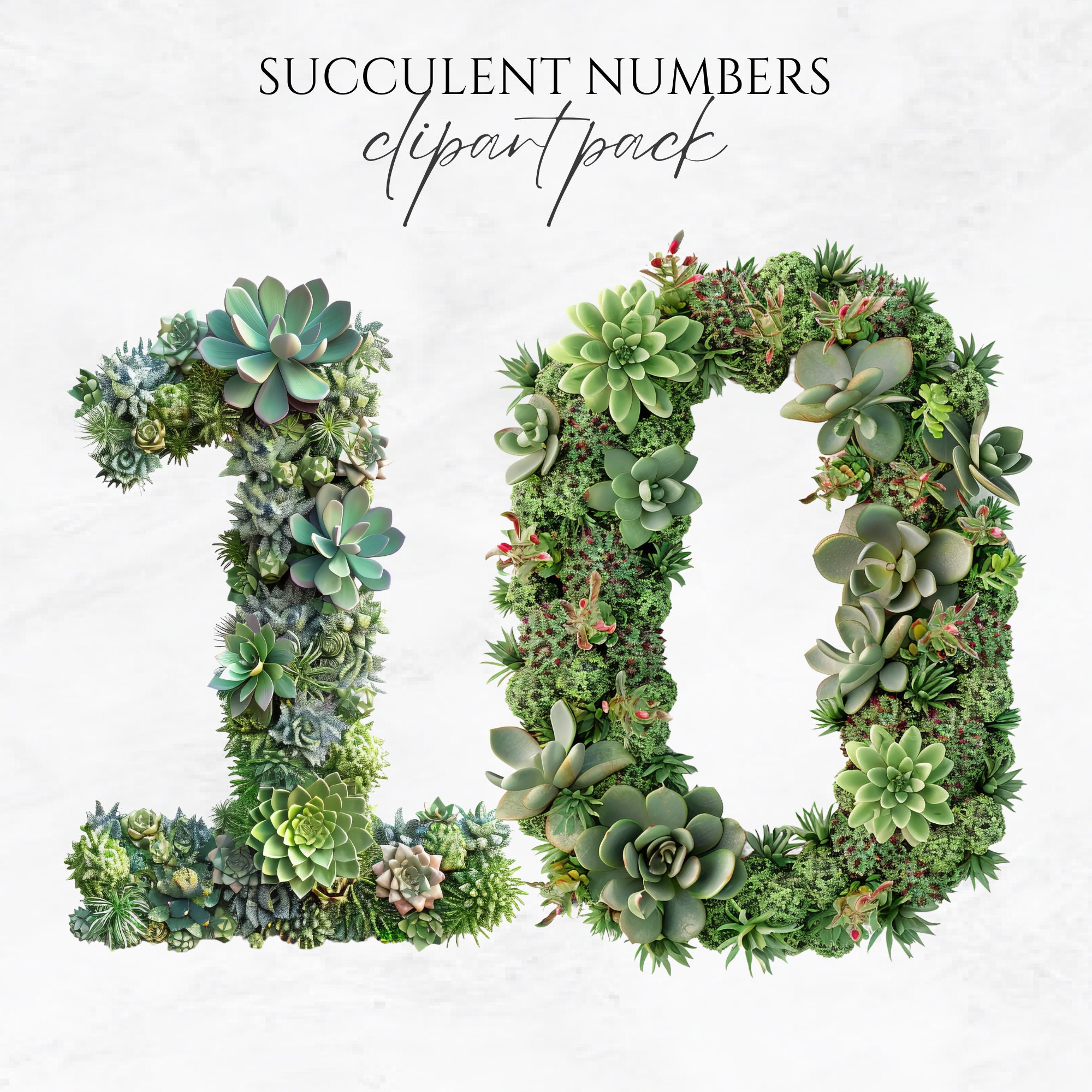 Succulent Plant Numbers Clipart Succulent Clipart Plant Numbers Floral ...