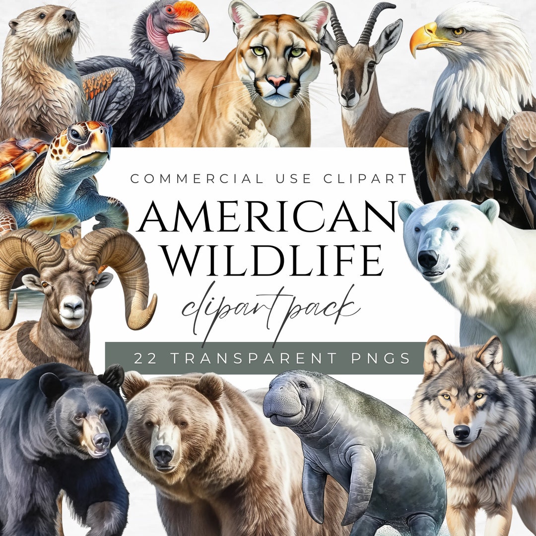 American Wildlife Animals Clipart USA Animals Clipart Wild Animals ...