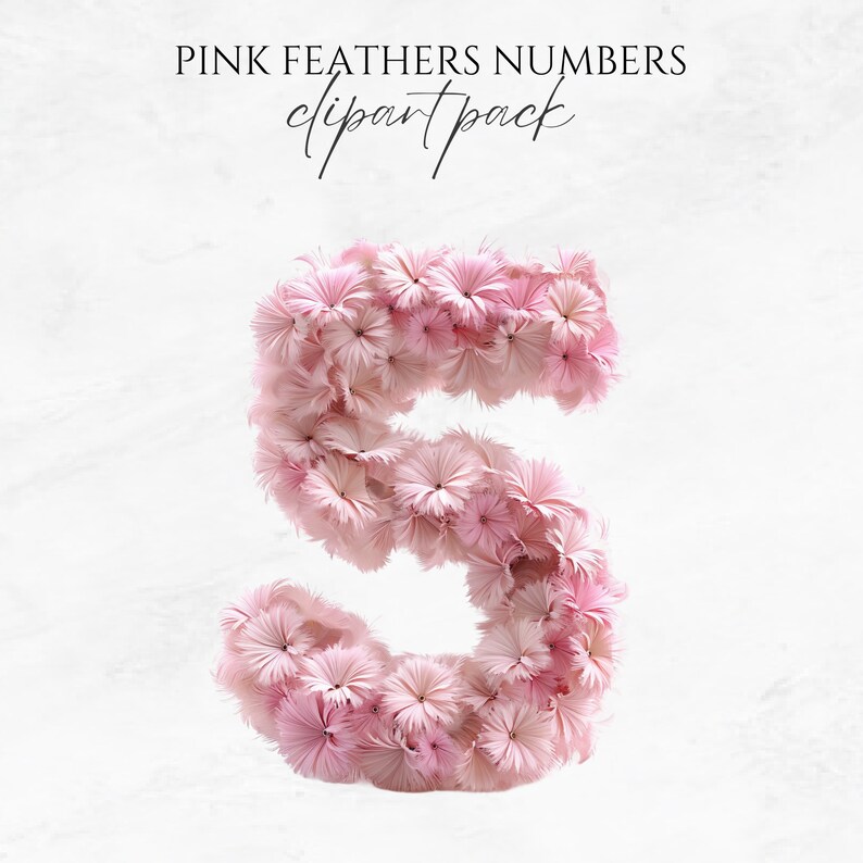 Pink Feathers Numbers Clipart Flower Numbers Clipart Feathers and ...