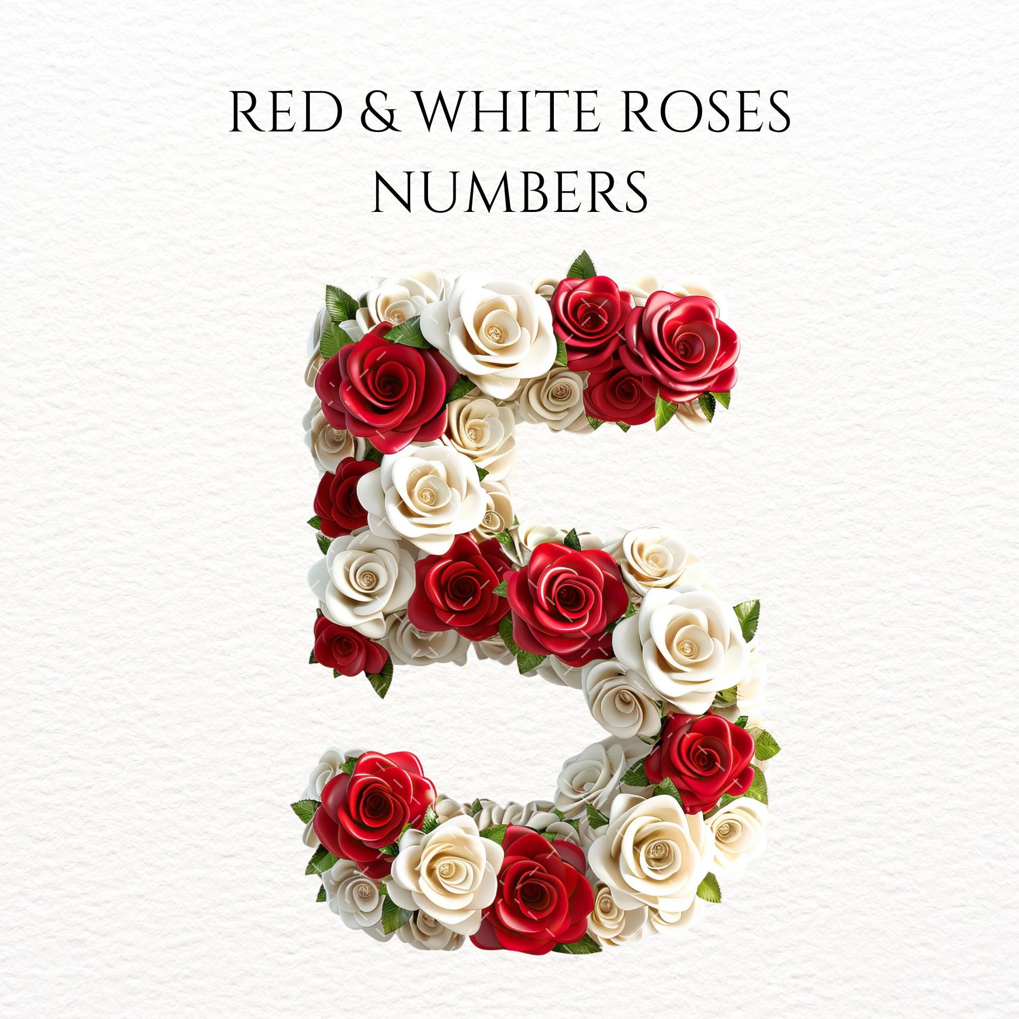 Rose Numbers Clipart Red Rose Clipart White Rose Clipart Floral Numbers ...
