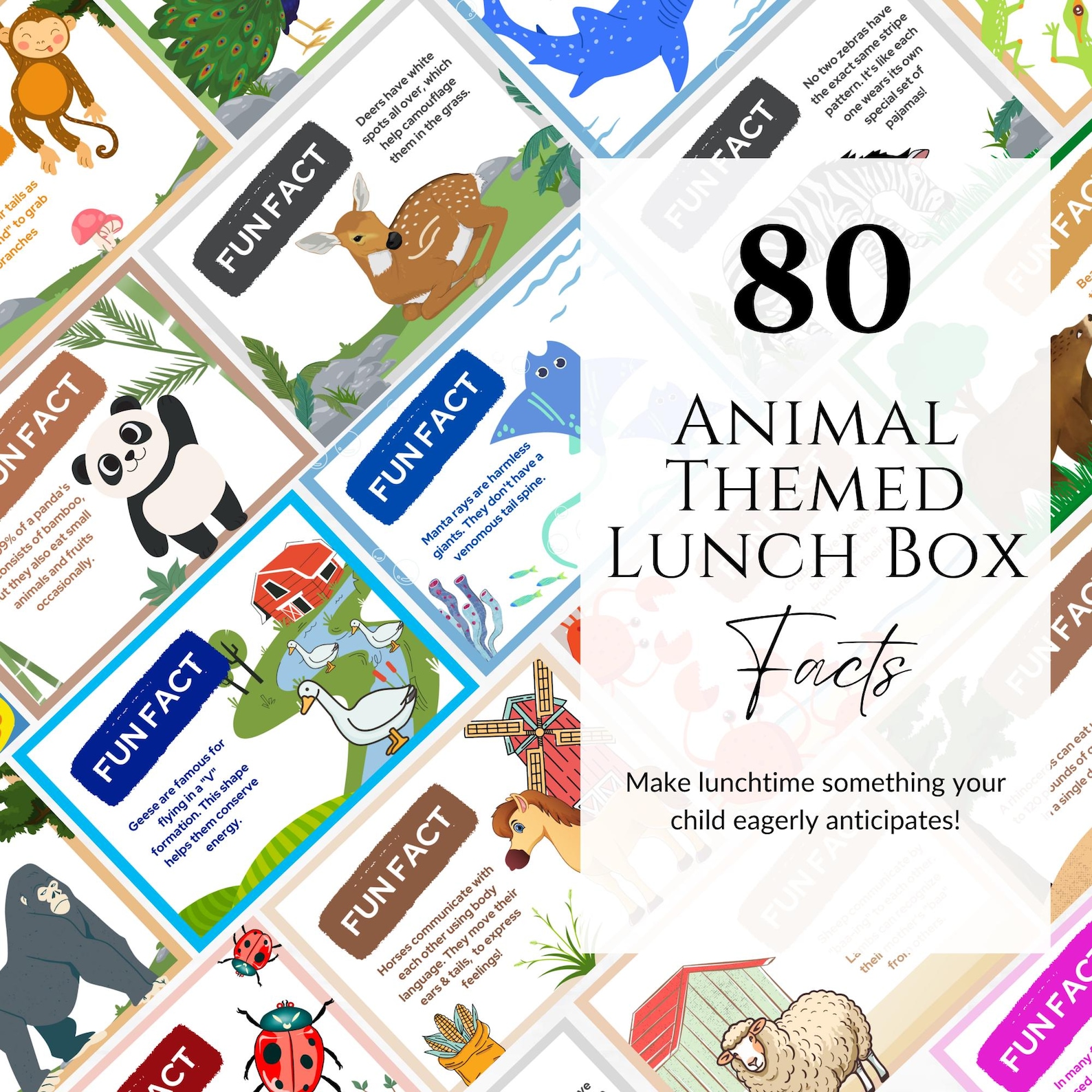 Printable Animal Themed Lunch Box Facts for Kids Fun Facts Trivia Lunch ...