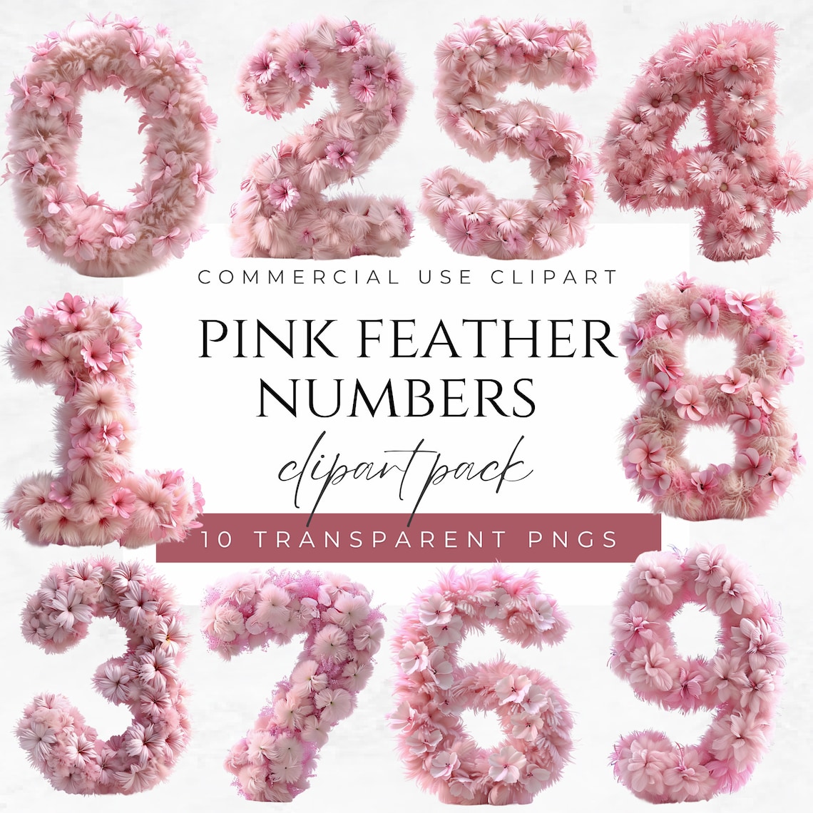 Pink Feathers Numbers Clipart Flower Numbers Clipart Feathers and ...