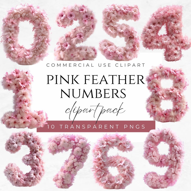Pink Feathers Numbers Clipart Flower Numbers Clipart Feathers and ...