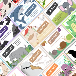 Printable Animal Themed Lunch Box Facts for Kids Fun Facts - Etsy