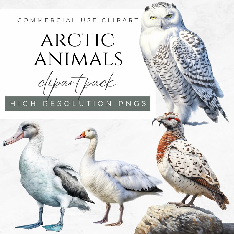 Arctic Animals Clipart Watercolor Polar Animals Clipart Winter Animals ...