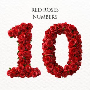 Red Roses Numbers Clipart Floral Numbers Clipart Rose Number Graphics ...