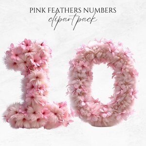 Pink Feathers Numbers Clipart Flower Numbers Clipart Feathers and ...